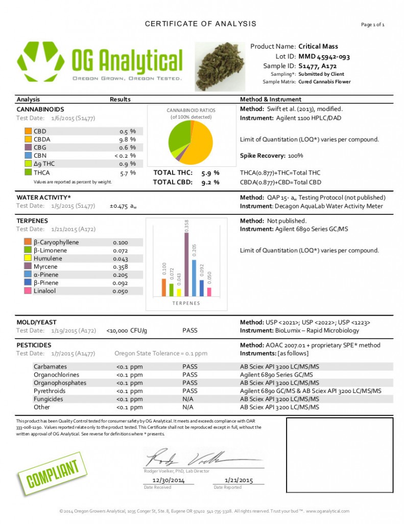 CBD Critical Mass | CBD Crew